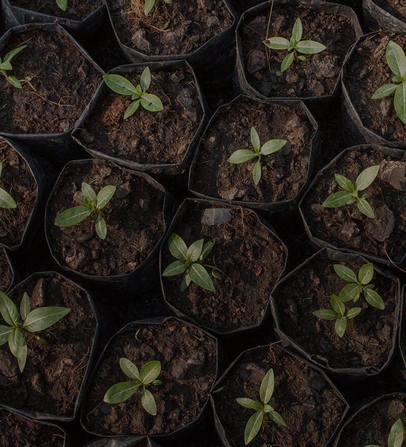 Miles de muebles online para todos los gustos | Muebles.es